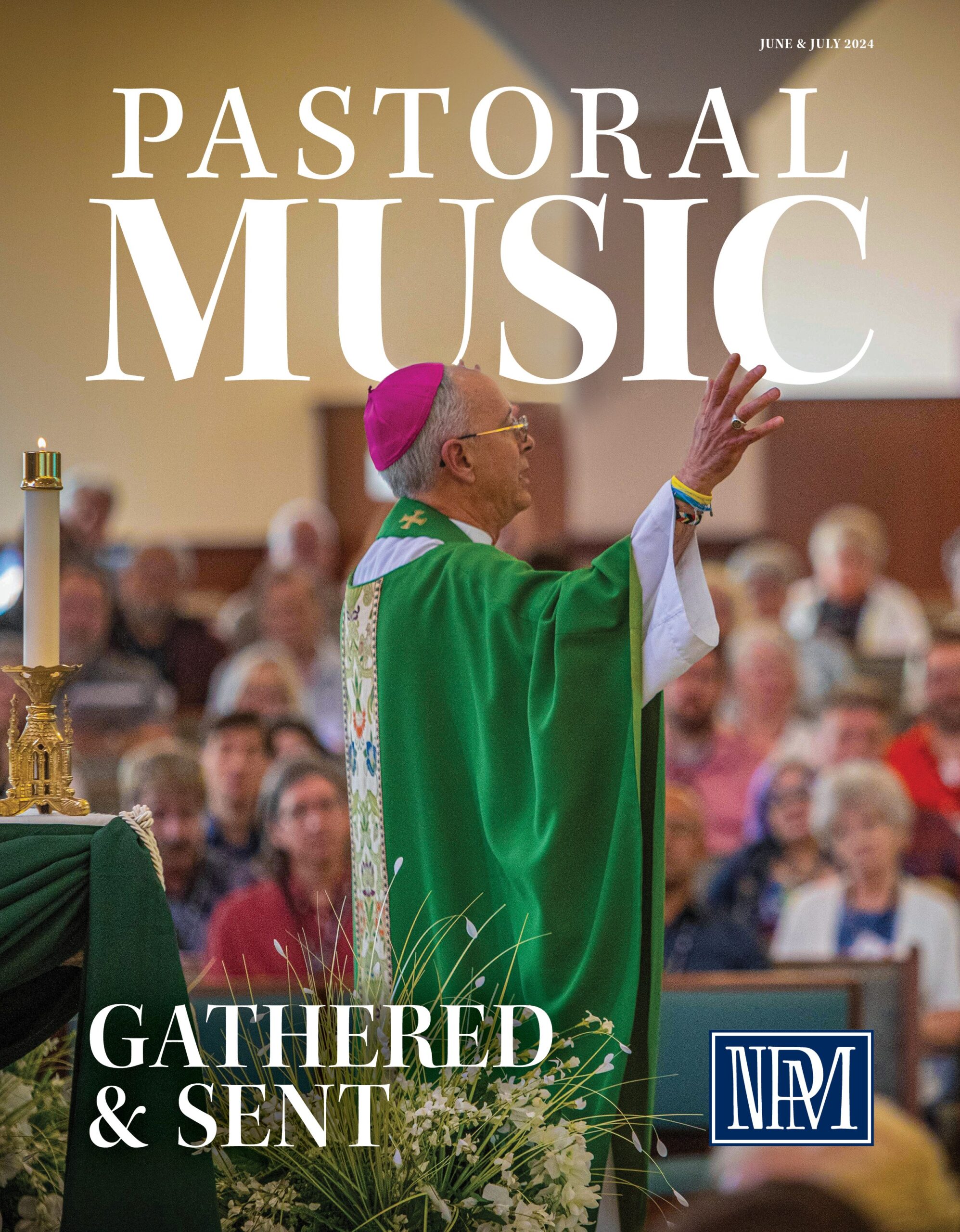 Publications – NPM